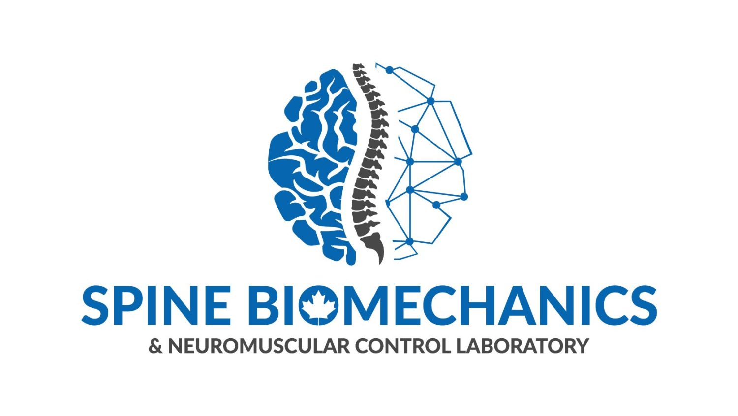 The Lab – Spine Biomechanics & Neuromuscular Control Laboratory